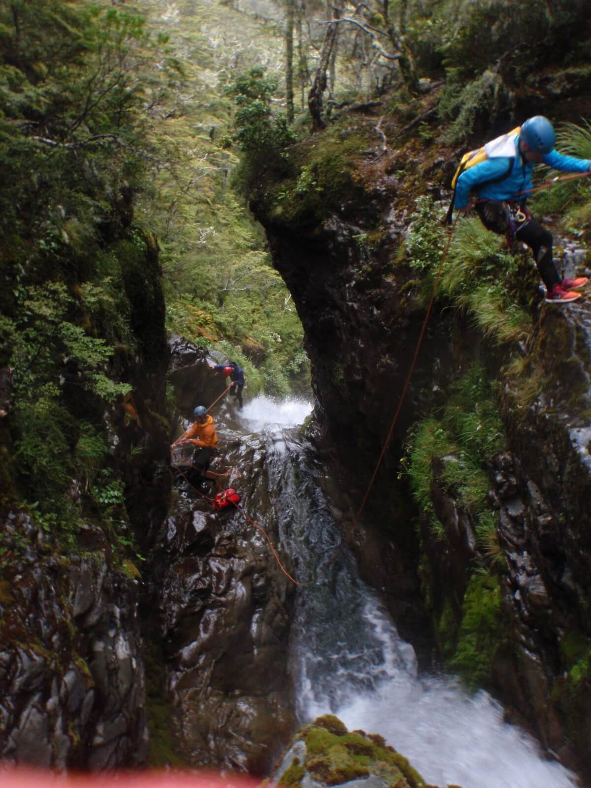 Exploring the Wilberforce | Wilderlife