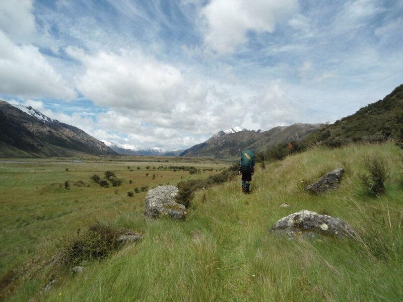 Tramping the St James Walkway | Wilderlife