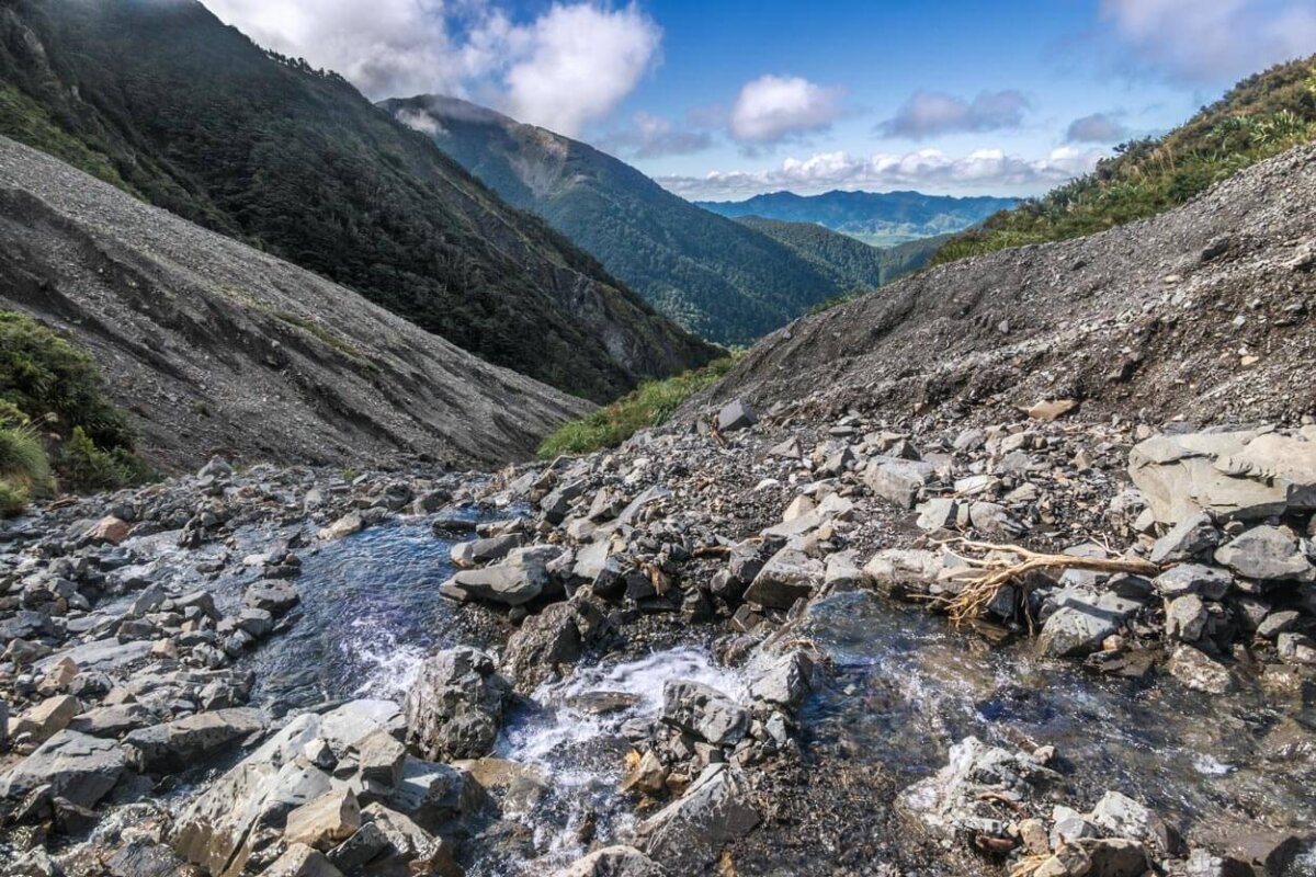 Two More 1,700 Metre Points | Wilderlife