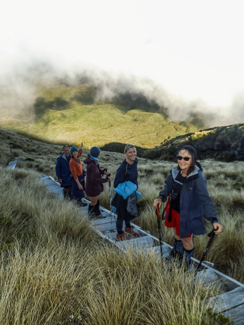 Exploring Diverse Vegetation and Landscapes | Wilderlife