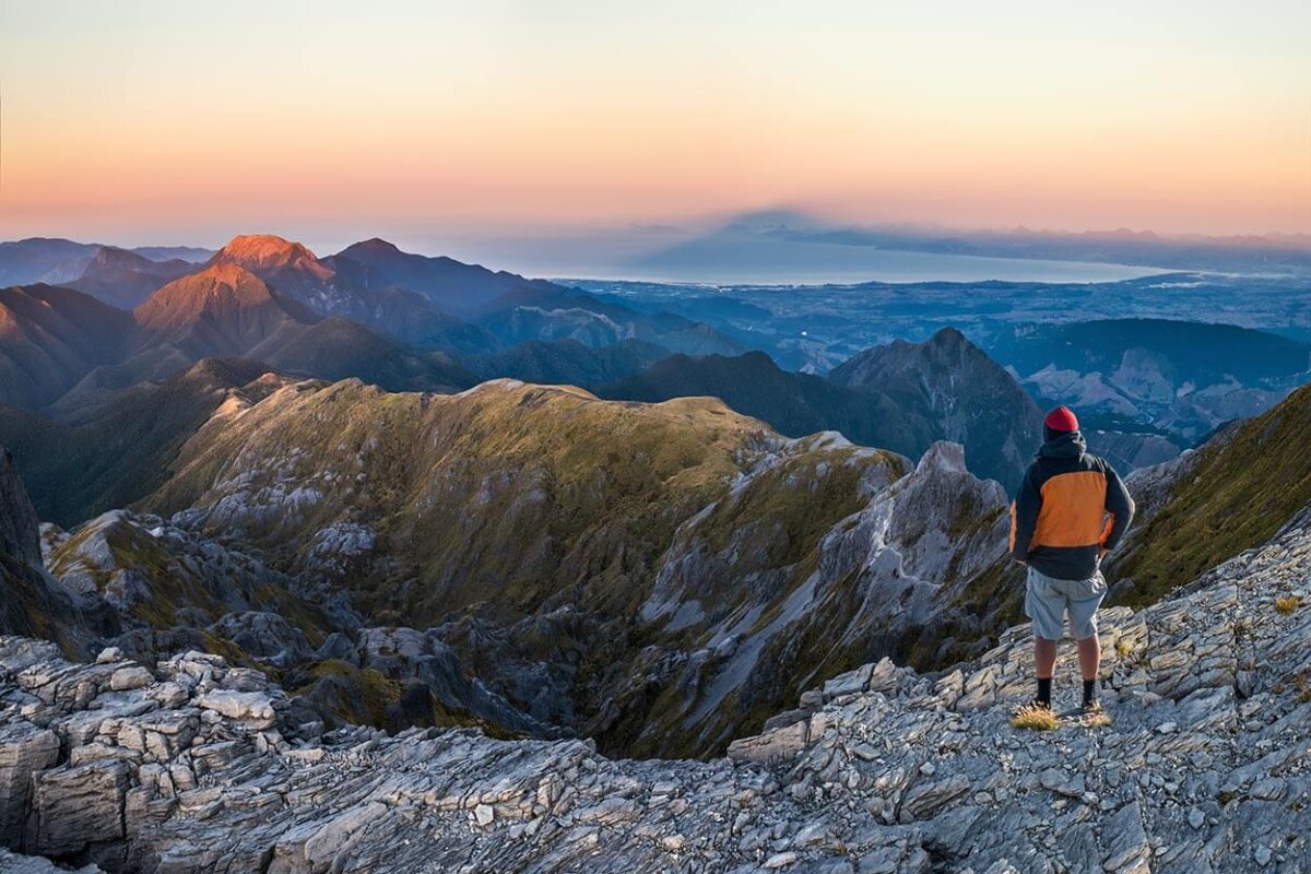 A Night Out on Mt Arthur | Wilderlife