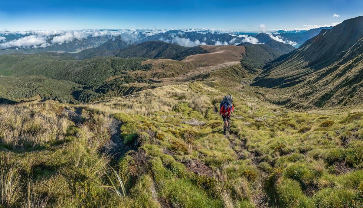 Topo Twisting on the Ella Range | Wilderlife