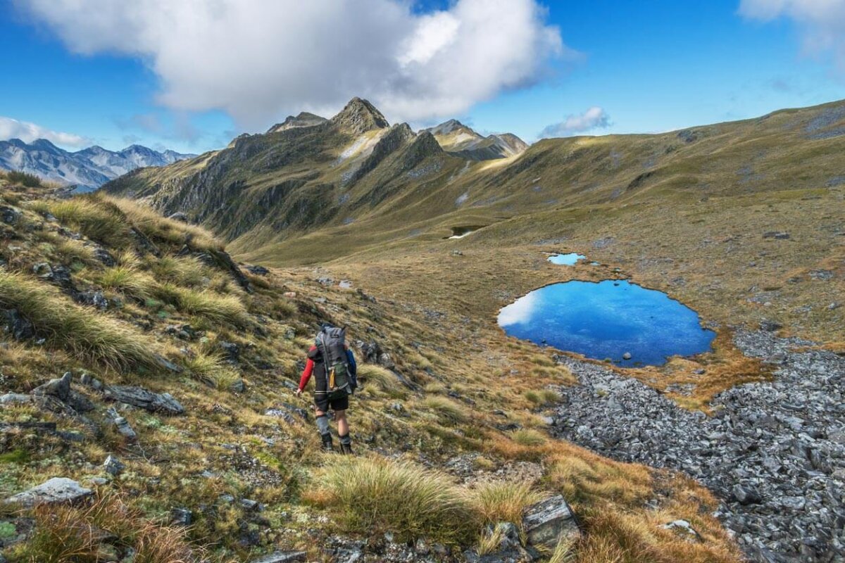 Topo Twisting on the Ella Range | Wilderlife