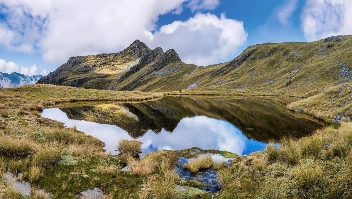 Topo Twisting on the Ella Range | Wilderlife